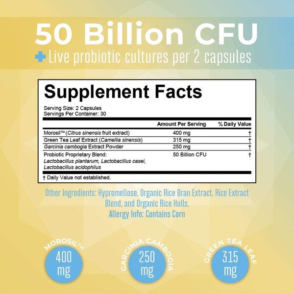 Probiotic Weight Management+ | MaryRuth's Wholesale