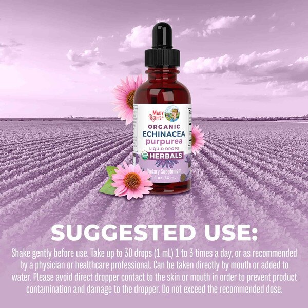 Organic Echinacea Purpurea Herbal Liquid Drops | MaryRuth's Wholesale